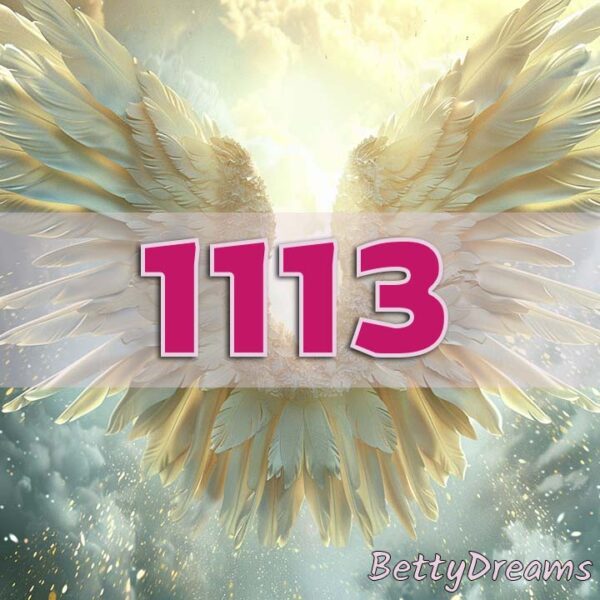 1113 Angel Number: Surprising & Powerful Meanings