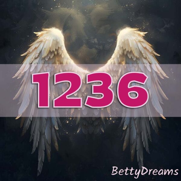 1236 Angel Number: Surprising & Powerful Meanings