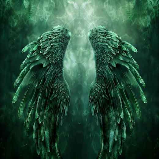 1269 Angel Number: Surprising & Powerful Meanings
