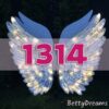 1314 Angel Number: Surprising & Powerful Meanings