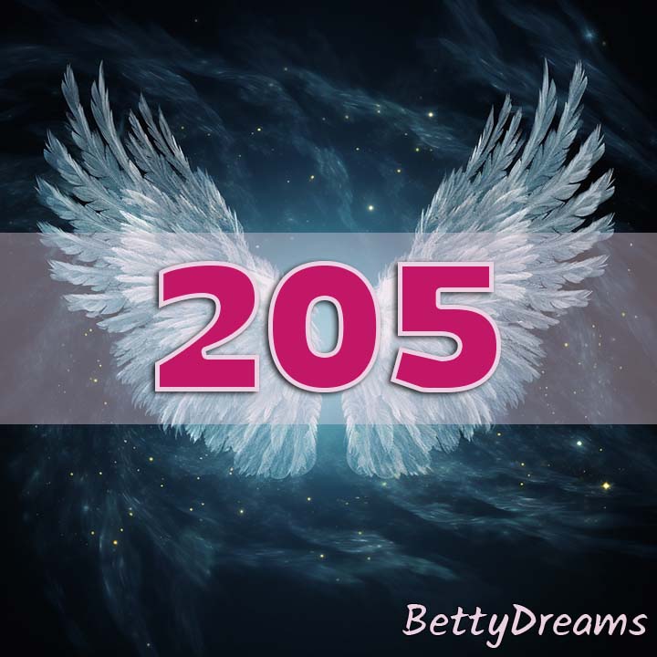 205 Angel Number: Surprising & Powerful Meanings | BettyDreams