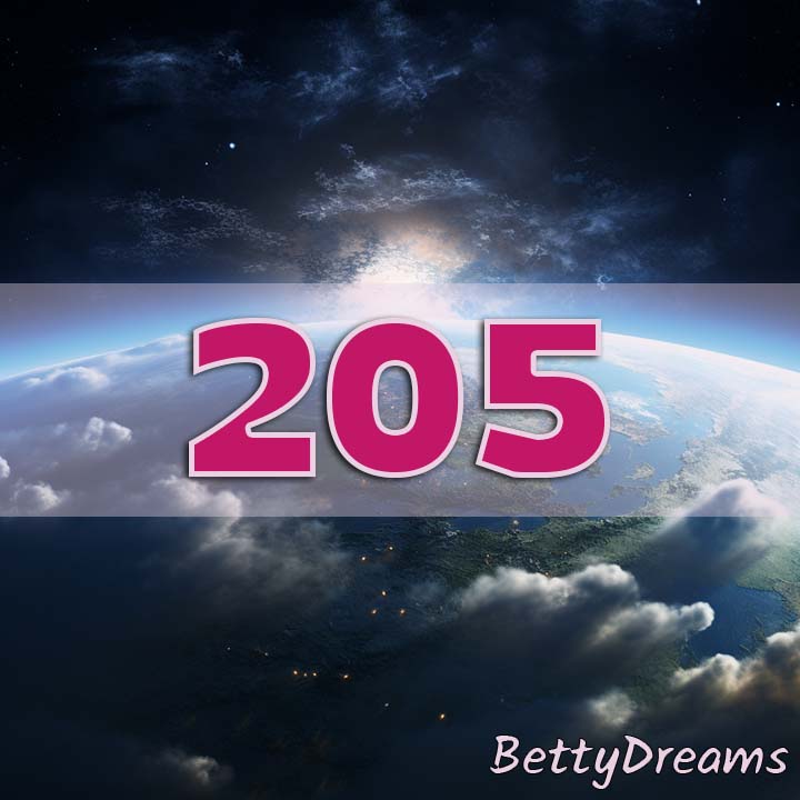 205 Angel Number: Surprising & Powerful Meanings | BettyDreams