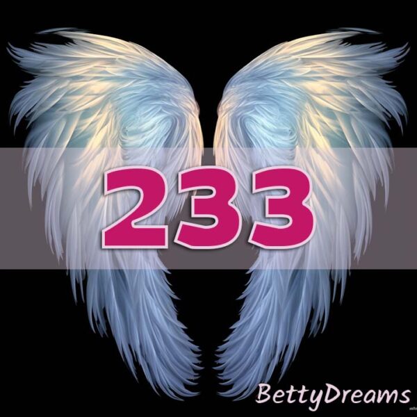 233 Angel Number: Surprising & Powerful Meanings | BettyDreams