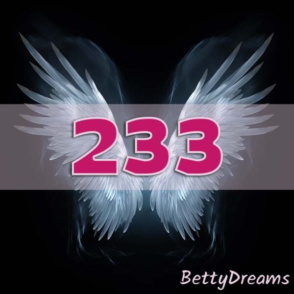 233 Angel Number: Surprising & Powerful Meanings | BettyDreams