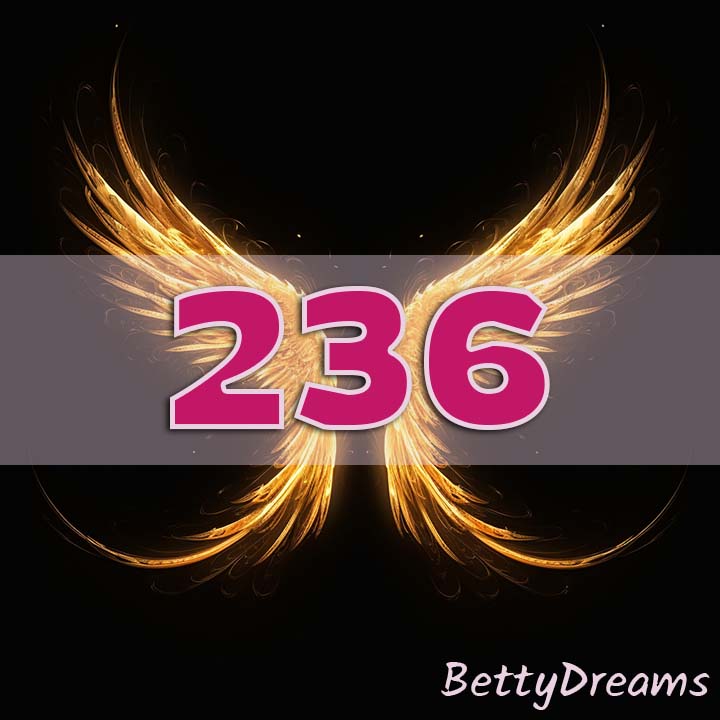 236 Angel Number - BettyDreams