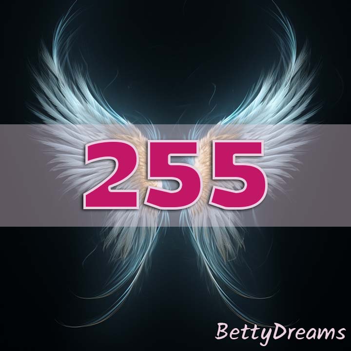 255 Angel Number: Surprising & Powerful Meanings | BettyDreams
