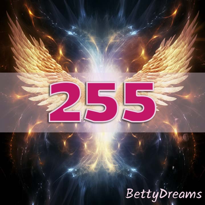 255 Angel Number: Surprising & Powerful Meanings | BettyDreams