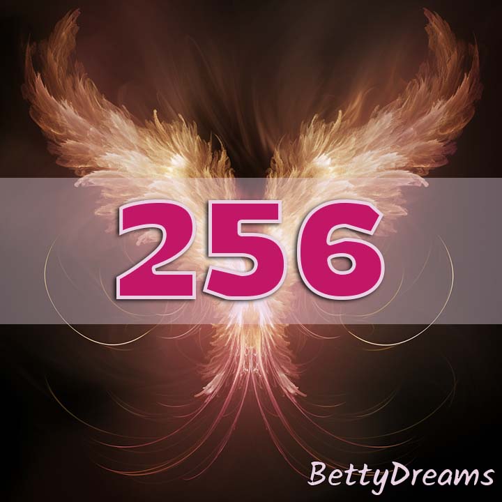 256 Angel Number: Surprising & Powerful Meanings | BettyDreams
