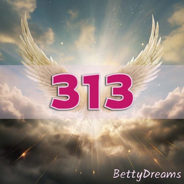 313 Angel Number: Surprising & Powerful Meanings | BettyDreams