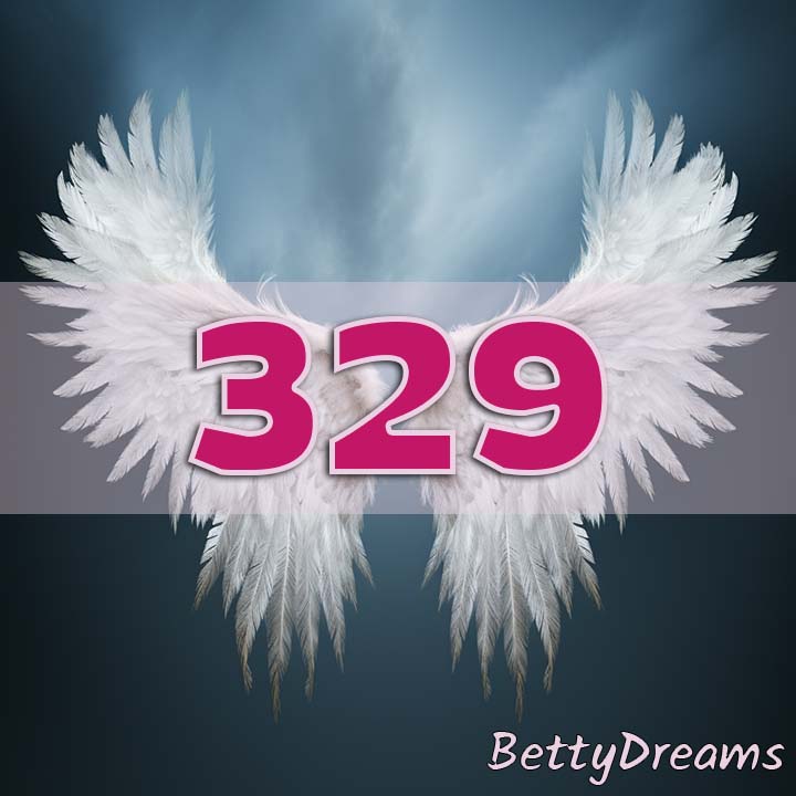 329 Angel Number: Surprising & Powerful Meanings | BettyDreams