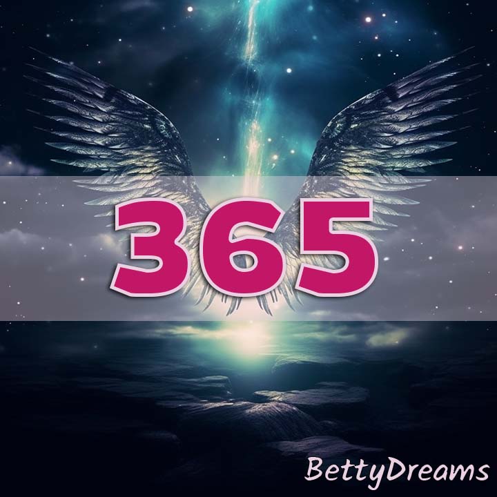 365 Angel Number: Surprising & Powerful Meanings | BettyDreams