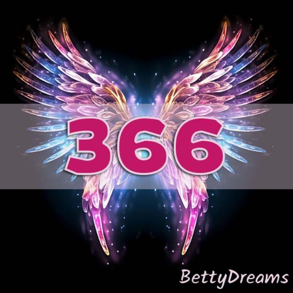 366 Angel Number: Surprising & Powerful Meanings | BettyDreams