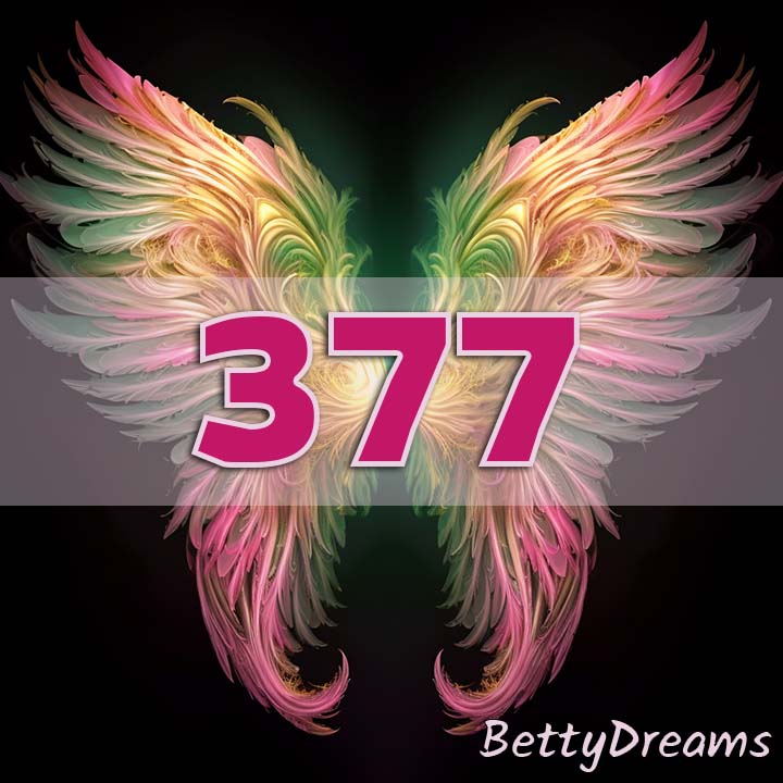 377 Angel Number: Surprising & Powerful Meanings | BettyDreams