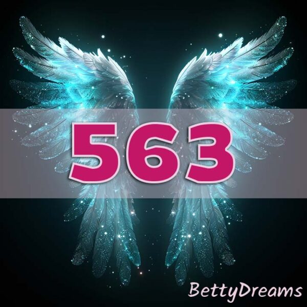 563 Angel Number: Surprising & Powerful Meanings | BettyDreams