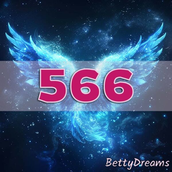 566 Angel Number: Surprising & Powerful Meanings | BettyDreams