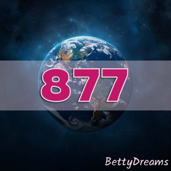 877 Angel Number: Surprising & Powerful Meanings | BettyDreams