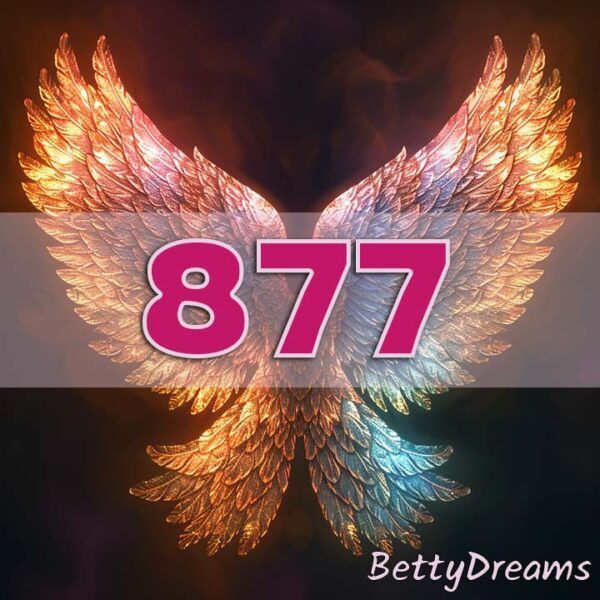 877 Angel Number: Surprising & Powerful Meanings | BettyDreams