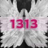 1313 Angel Number: Surprising & Powerful Meanings