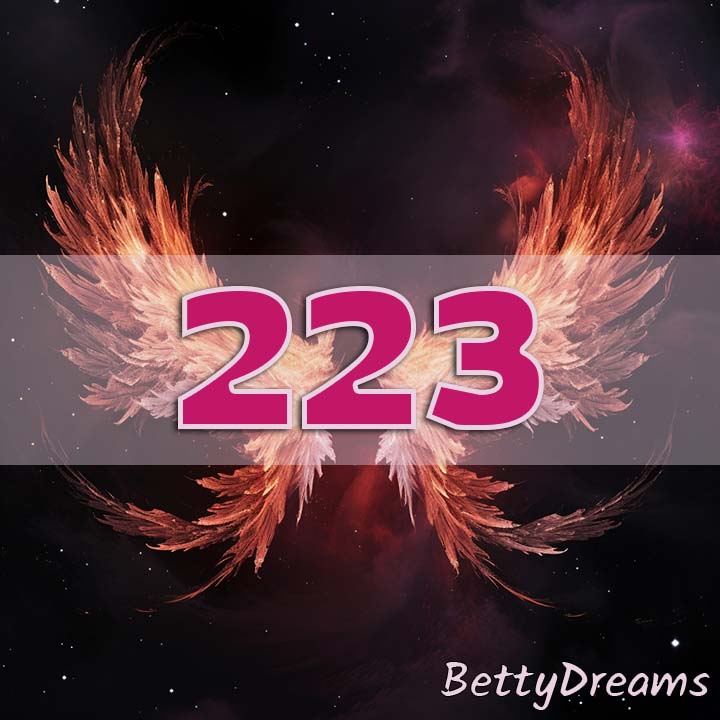 223 Angel Number - BettyDreams