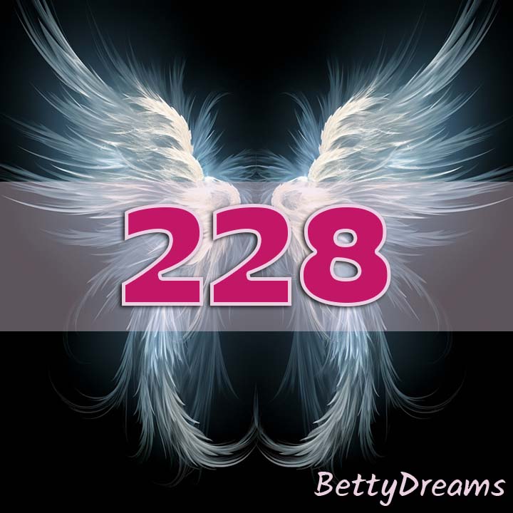 228 Angel Number - BettyDreams