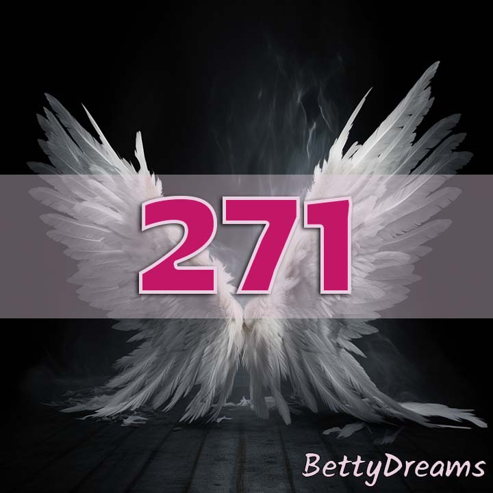 271 Angel Number - BettyDreams