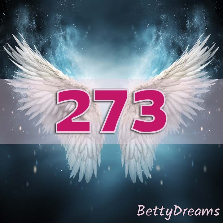 273 Angel Number - BettyDreams