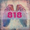 818 Angel Number: Surprising & Powerful Meanings | BettyDreams