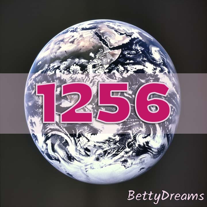1256 Angel Number: Surprising & Powerful Meanings
