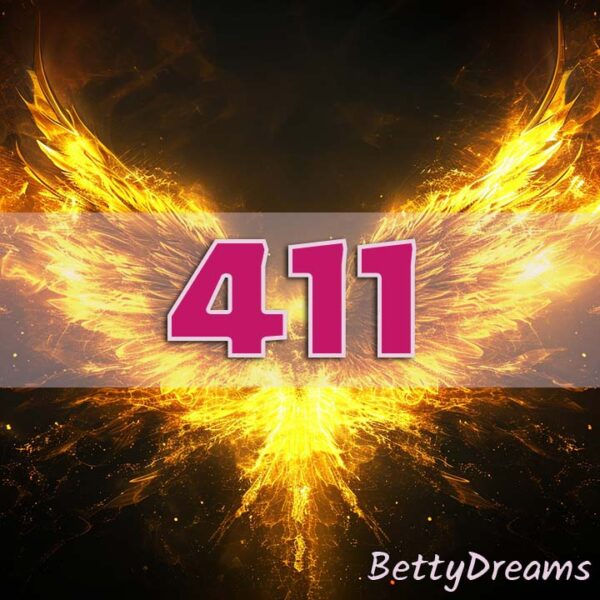 411 Angel Number: Surprising & Powerful Meanings | BettyDreams