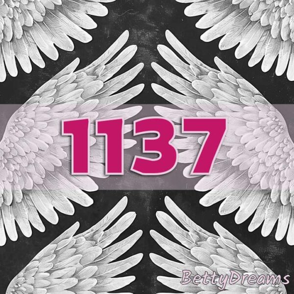 1137 Angel Number: Surprising & Powerful Meanings