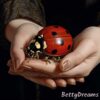 Dream About Ladybug: 10 Powerful Interpretations (by Betty)