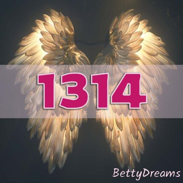 1314 Angel Number: Surprising & Powerful Meanings