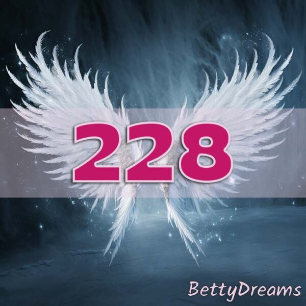 228 Angel Number - BettyDreams