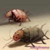 Dream About Fleas: 10 Powerful Interpretations (by Betty)