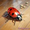 Dream About Ladybug: 10 Powerful Interpretations (by Betty)
