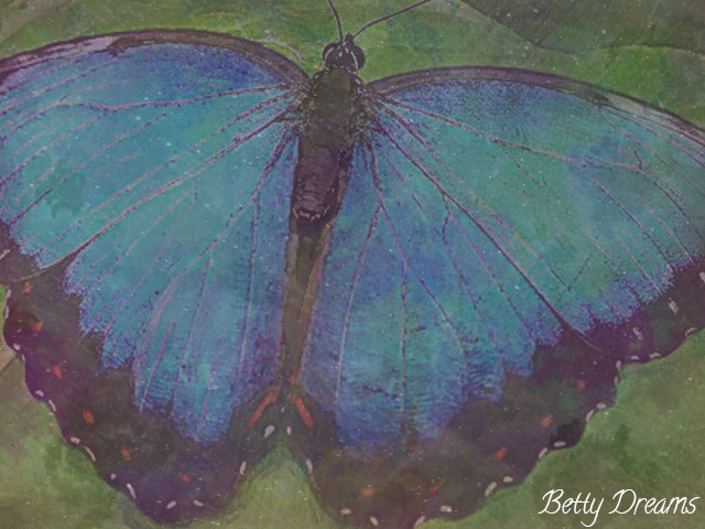 Meaning of Black And Blue Butterfly: Very Suprising & Can Change Your Life!