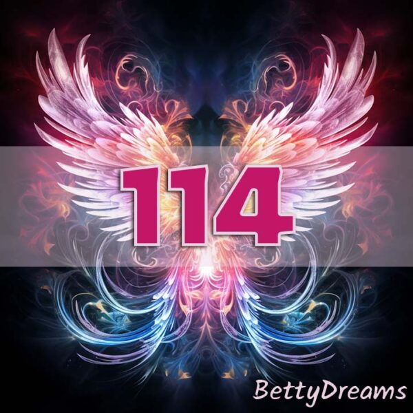 114 Angel Number: Surprising & Powerful Meanings | BettyDreams